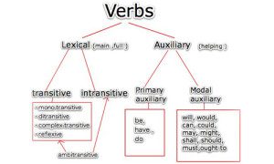 Difference between Lexical Verb & Auxiliary Verb | Difference Between ...