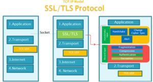 Difference Between TLS and SSL | Difference Between | TLS vs SSL
