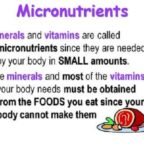 Difference Between | Tag archive for micronutrients | micronutrients