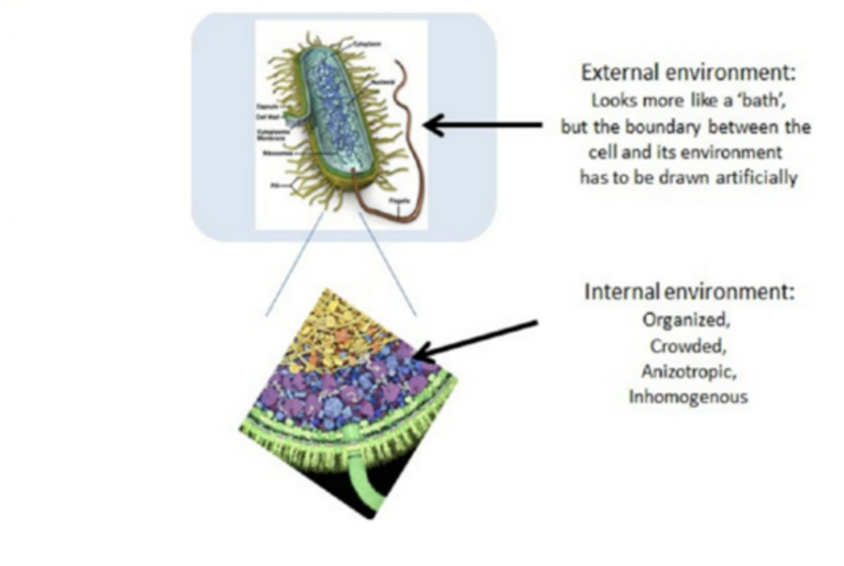 Difference Between Internal and External Environment | Difference Between