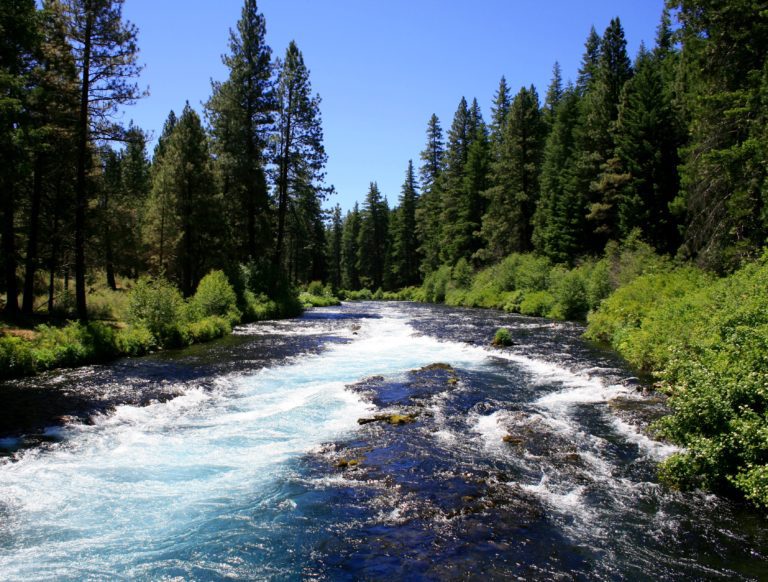 Difference Between Sea and River | Difference Between | Sea vs River