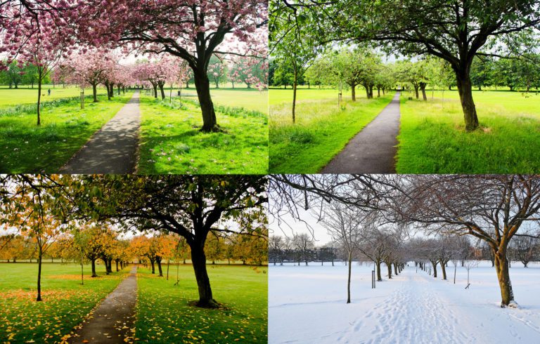 Difference Between Season and Weather | Difference Between | Season vs ...