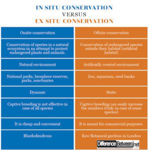 Difference between In Situ and Ex Situ Conservation | Difference Between