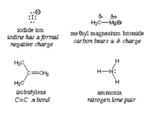 Difference Between Electrophile and Nucleophile | Difference Between | Electrophile vs Nucleophile