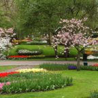 Difference Between | Tag archive for Park | Park