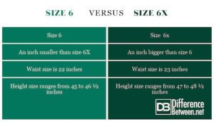 Difference Between 6 And 6x | Difference Between | 6 And 6x
