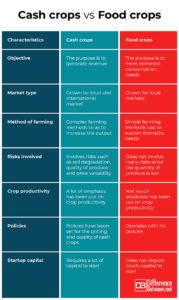 Difference Between Cash Crops and Food Crops | Difference Between ...