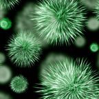 Difference Between | Archive for Articles Biology | Biology
