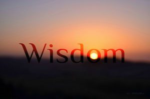 Differences Between Intelligence and Wisdom | Difference Between ...