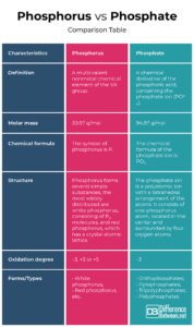 Difference Between Phosphorus and Phosphate | Difference Between ...