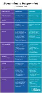 Difference Between Spearmint and Peppermint | Difference Between ...