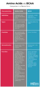 Difference Between Amino Acids and BCAA | Difference Between | Amino ...