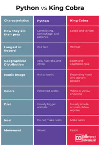 Difference between Python and King Cobra | Difference Between ...