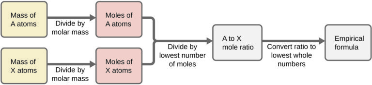 Difference Between Atom and Mole | Difference Between | Atom vs Mole