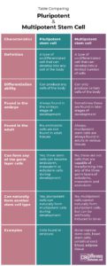 Difference Between Pluripotent and Multipotent Stem Cell | Difference ...