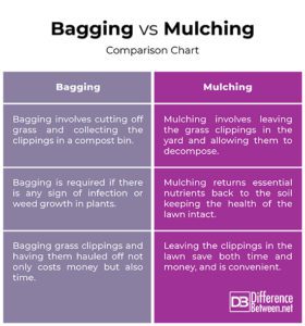 Difference Between Bagging and Mulching | Difference Between | Bagging ...