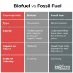 Difference Between Biofuel and Fossil Fuel | Difference Between