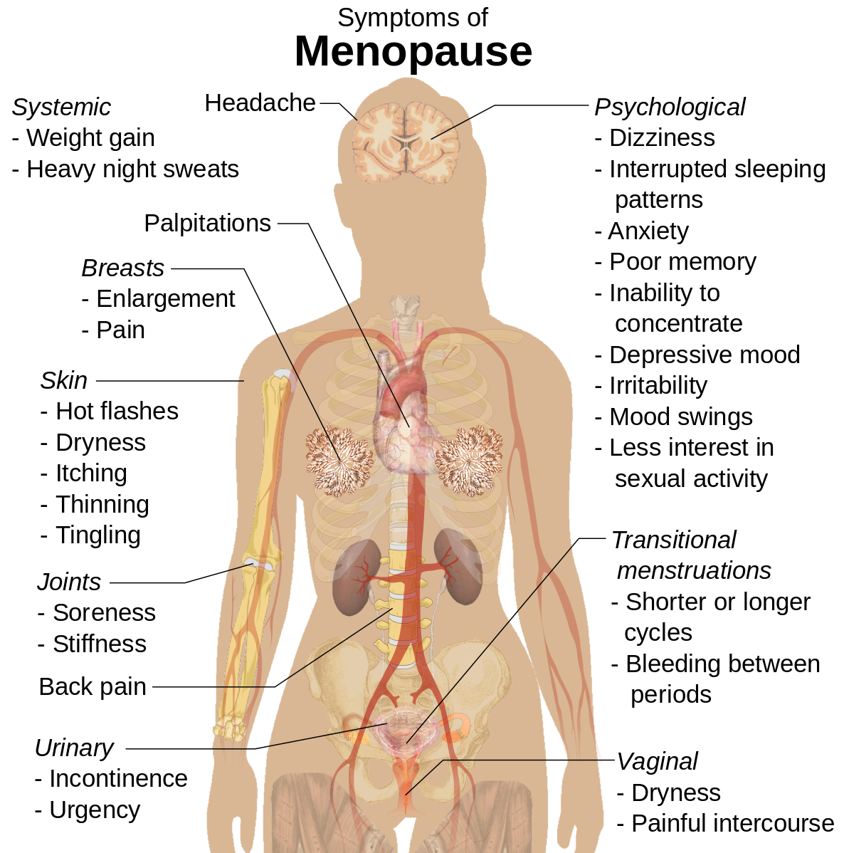 Difference Between Menopause And Postmenopause Difference Between