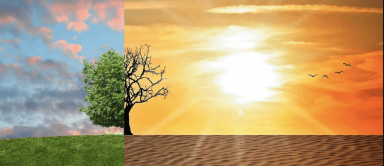 Difference Between Climate Change and Environmental Change | Difference ...