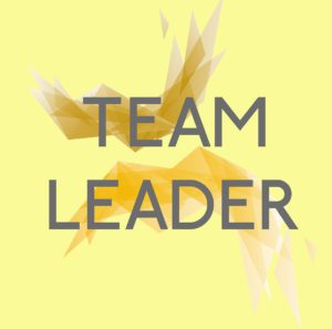 Difference Between Subject Matter Expert and Team Leader | Difference ...