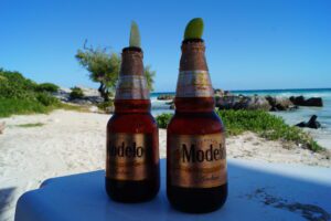 Difference Between Corona and Modelo | Difference Between | Corona vs ...