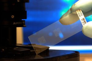 Difference Between Biochip and Microchip | Difference Between | Biochip vs Microchip