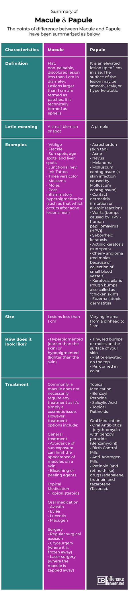 Difference Between Macule and Papule | Difference Between