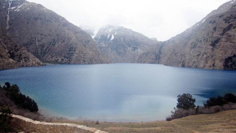 Difference Between Oligotrophic and Eutrophic | Difference Between ...