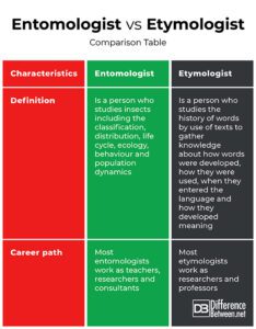 Difference Between Entomologist and Etymologist | Difference Between ...