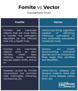 Difference Between Fomite and Vector | Difference Between | Fomite vs ...