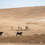 Difference Between | Author Caleb Strom | Caleb Strom