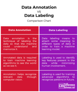 Difference Between Data Annotation and Labeling | Difference Between ...