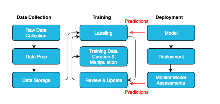 Difference Between Data Annotation and Labeling | Difference Between ...