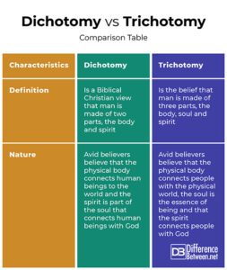 Difference Between Dichotomy and Trichotomy | Difference Between ...