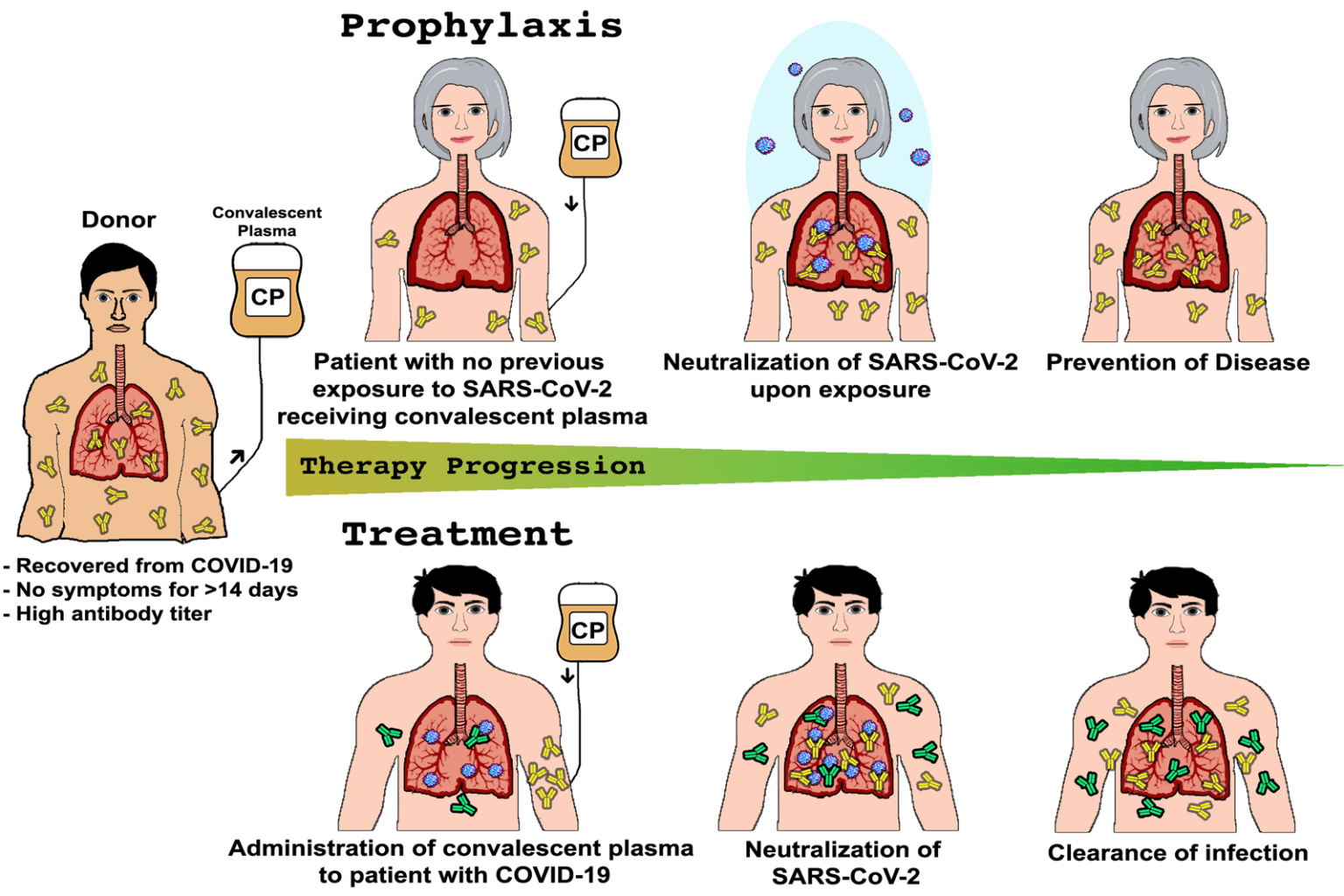 Difference Between Convalescent Plasma Therapy and Monoclonal ...