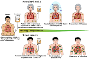 Difference Between Convalescent Plasma Therapy and Monoclonal ...