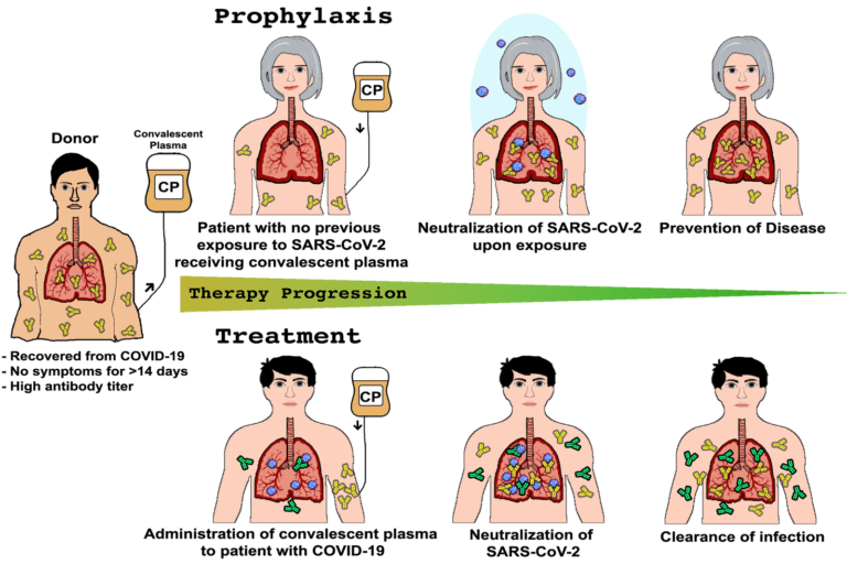 Difference Between Convalescent Plasma Therapy and Monoclonal ...