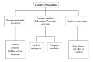 Difference Between Psychodynamic and Cognitive Approach | Difference ...