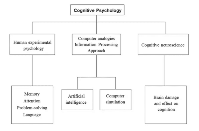 Difference Between Psychodynamic and Cognitive Approach | Difference ...