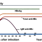 Difference Between | Author Dr. Mariam Bozhilova Forest Research Institute, BAS | Dr. Mariam ...