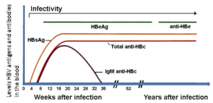 Difference Between Virulence and Infectivity | Difference Between