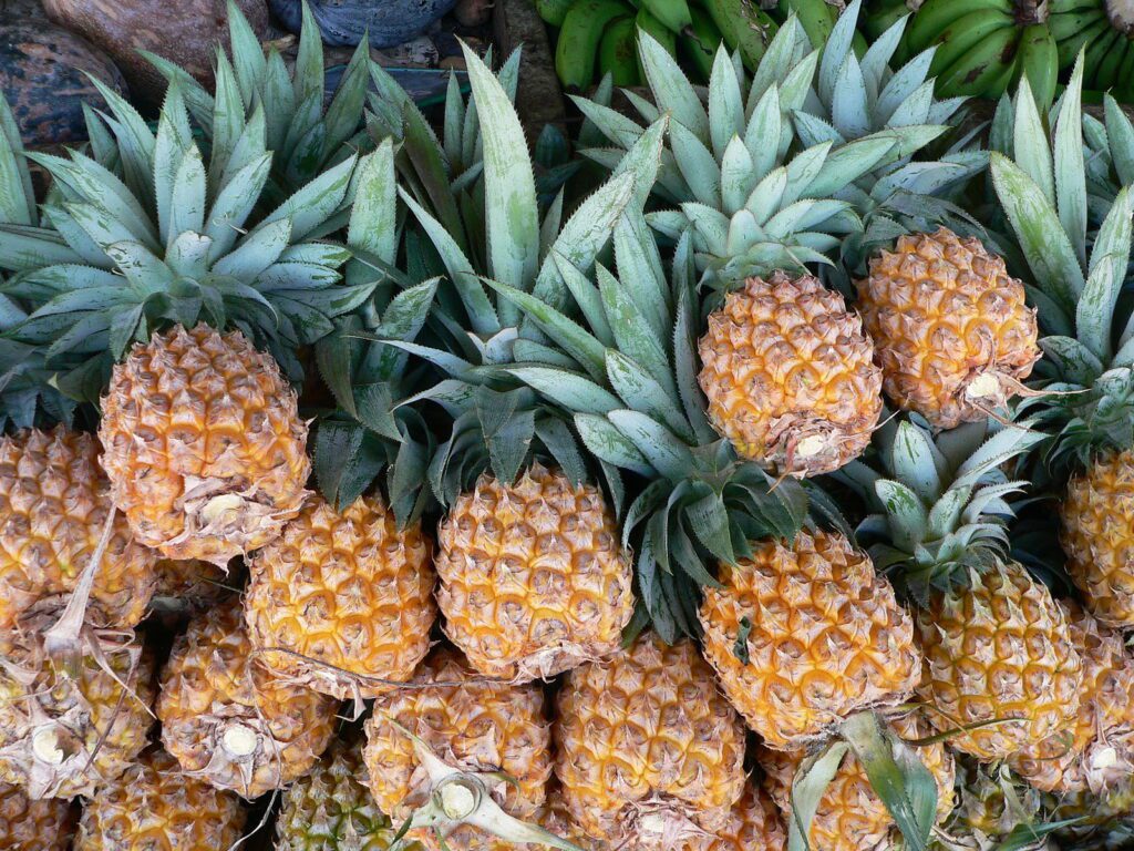 Difference Between Ananas and Pineapple | Difference Between | Ananas ...