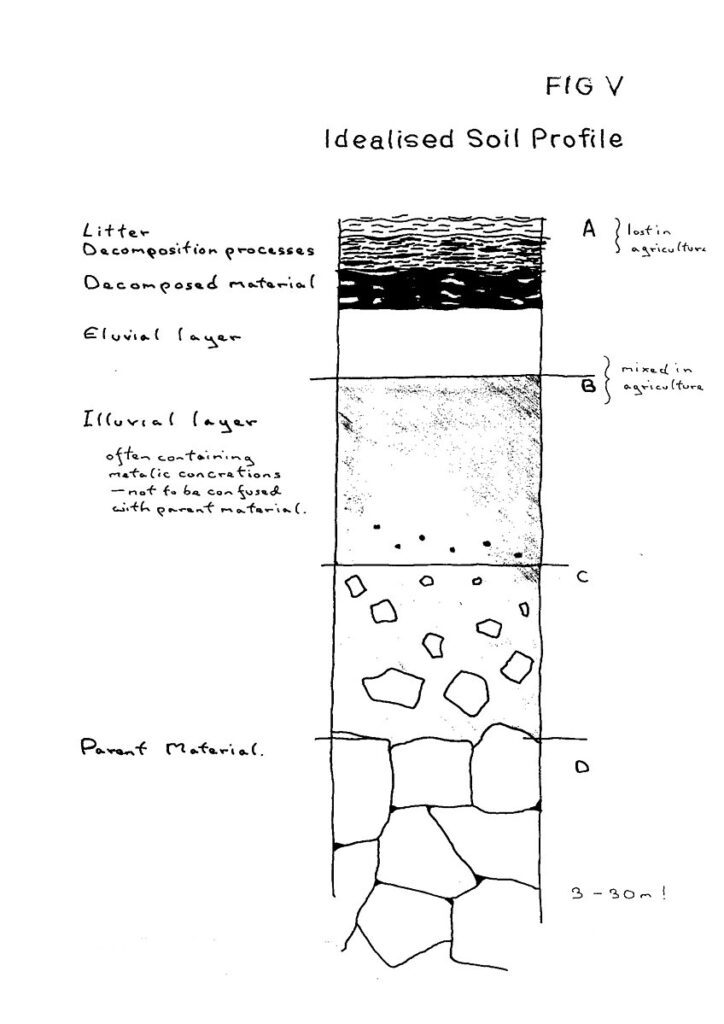 Difference Between Illuviation and Eluviation | Difference Between ...