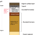 Difference Between | Author Caleb Strom | Caleb Strom