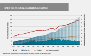 Difference Between Capacity and Utilization | Difference Between ...