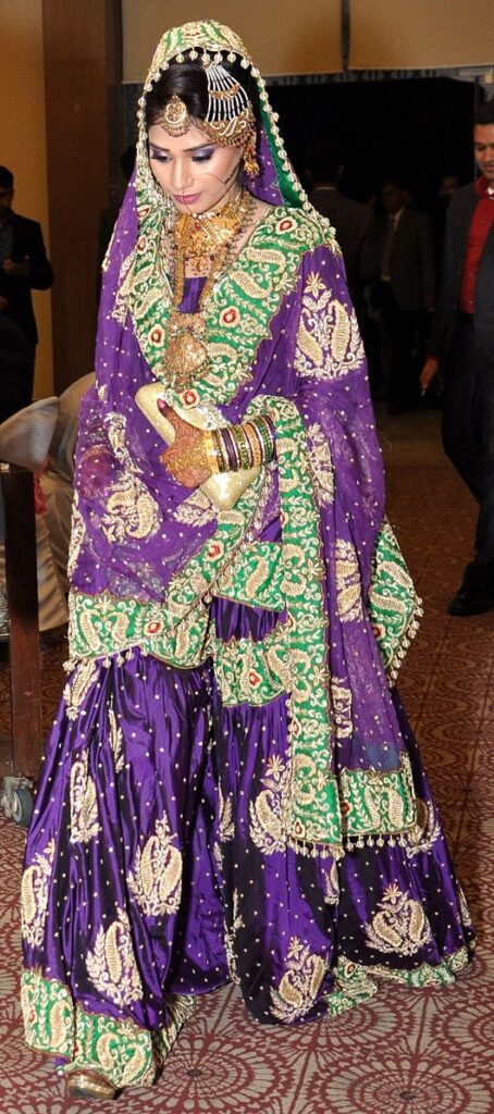 Differences Between Sharara and Gharara | Difference Between | Sharara ...