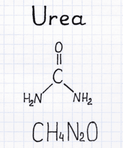 Difference Between BUN and Urea | Difference Between | BUN vs Urea