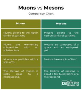 Difference Between Muons and Mesons | Difference Between | Muons vs Mesons