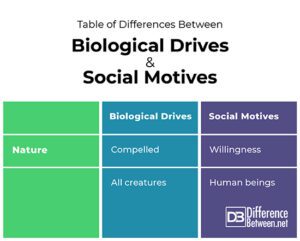 Difference Between Biological Drive and Social Motive | Difference ...