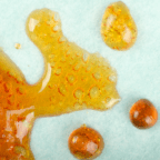 Difference Between | Tag archive for Cured Resin | Cured Resin